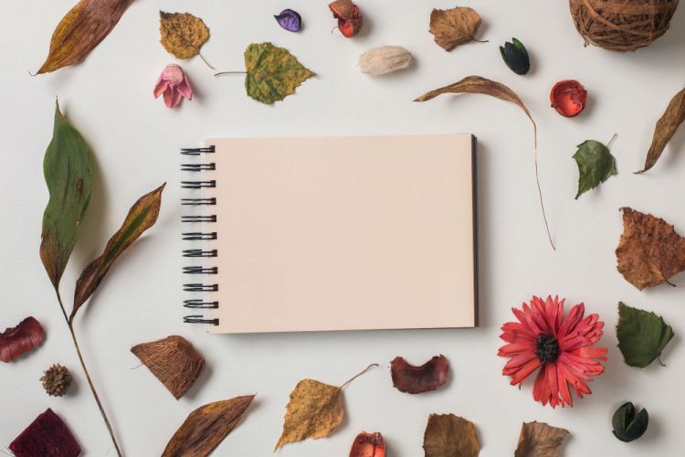 How to Decorate a Sketchbook Cover: From Simple to Artistic